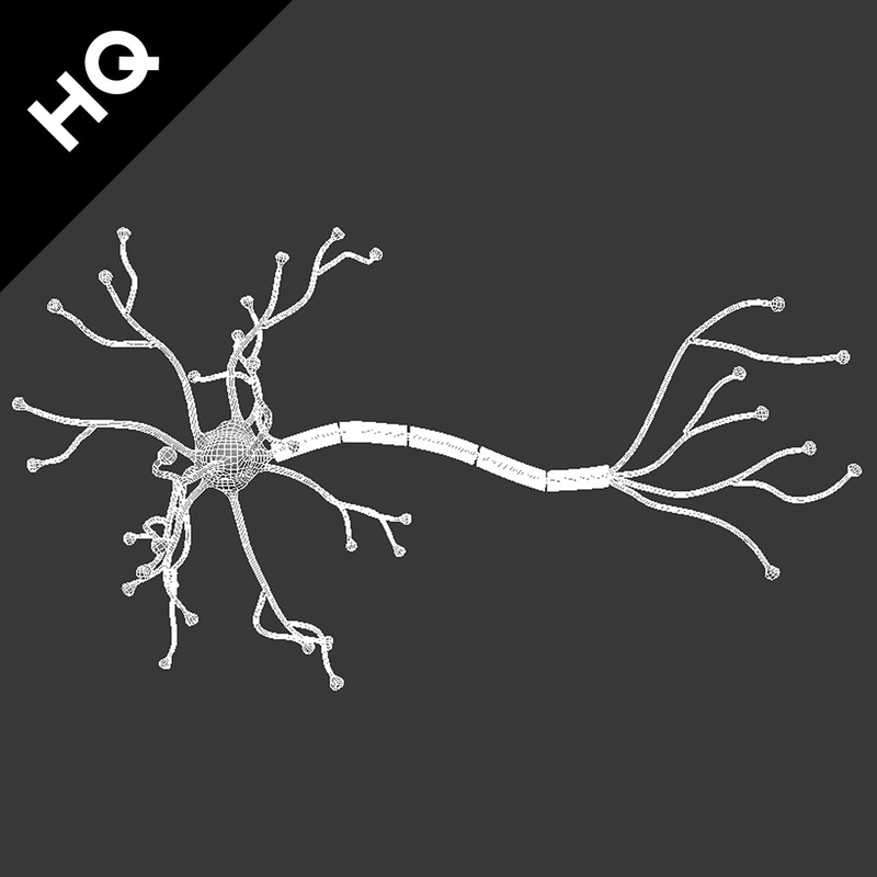 3d model neuron