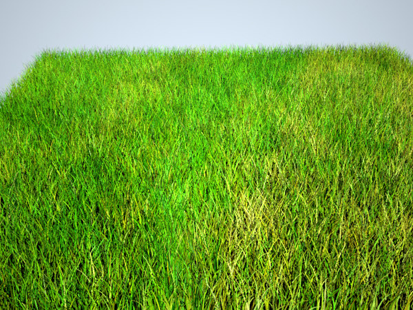 Free 3D Unity-Grass Models | TurboSquid