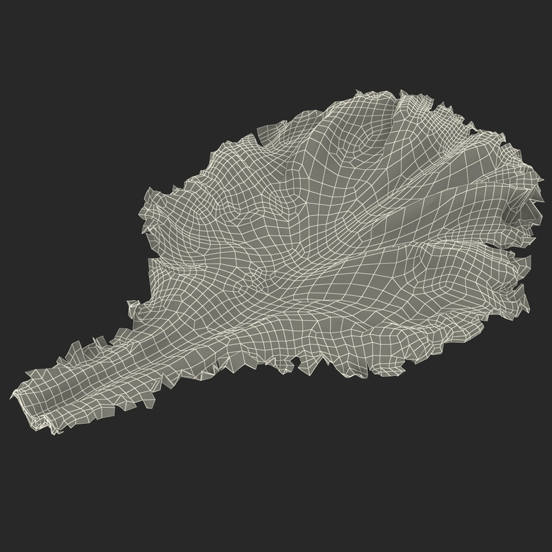 lettuce leaf 3d model