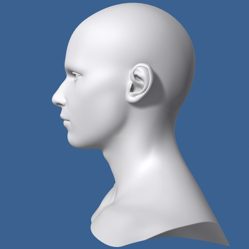 max polygonal male head character
