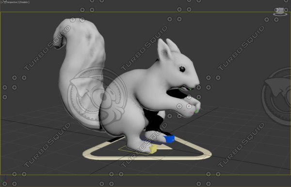 Squirrel 3D Models for Download | TurboSquid