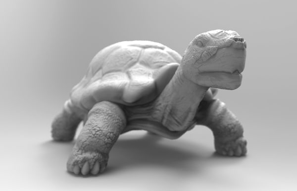 Turtle 3D Models for Download | TurboSquid