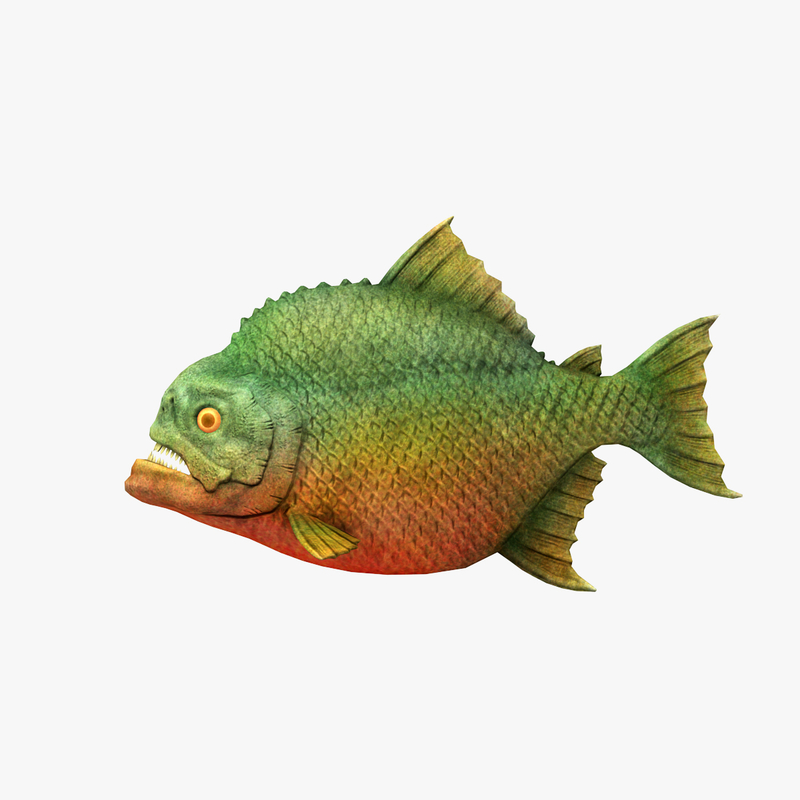 3d piranha
