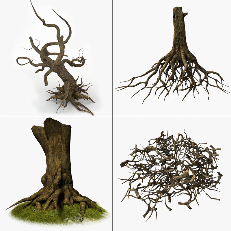 3d roots tree model