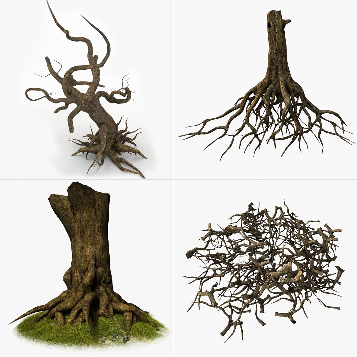 3d roots tree model