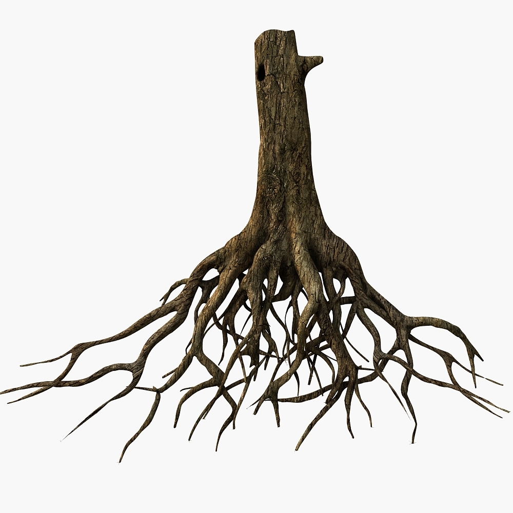 3d roots tree model