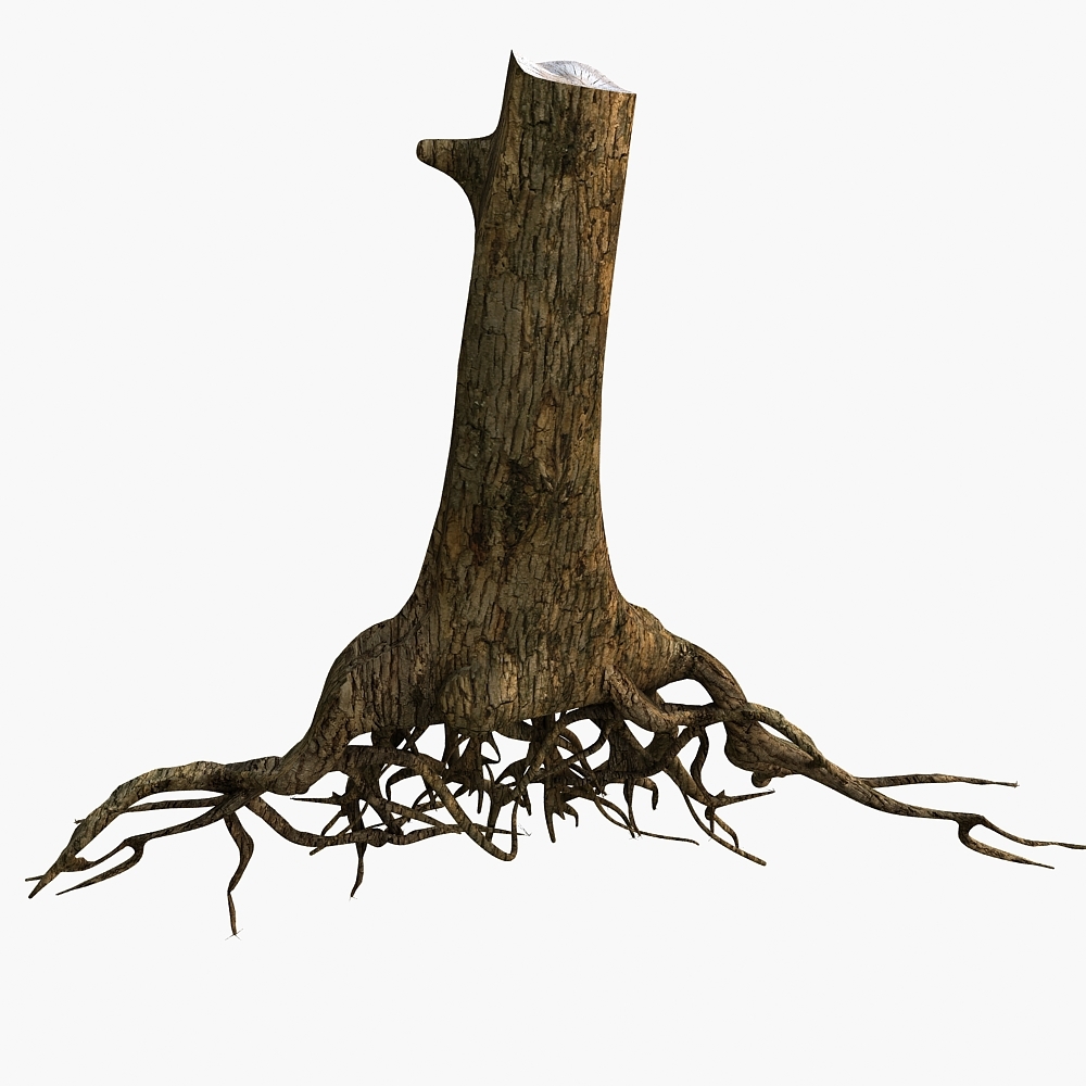 3d roots tree model