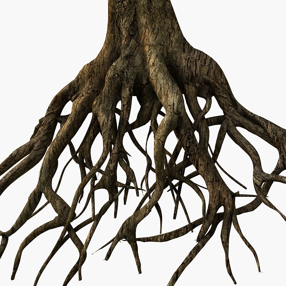 3d roots tree model
