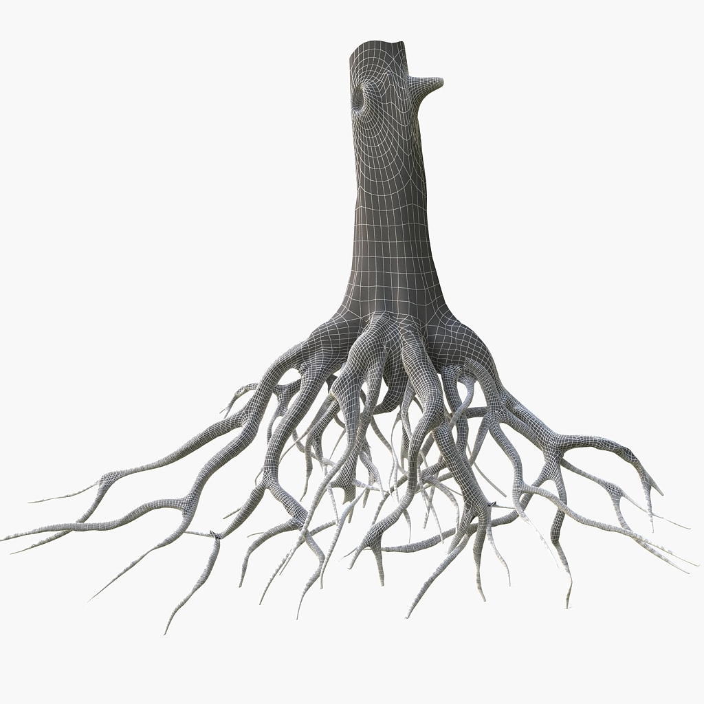 3d roots tree model