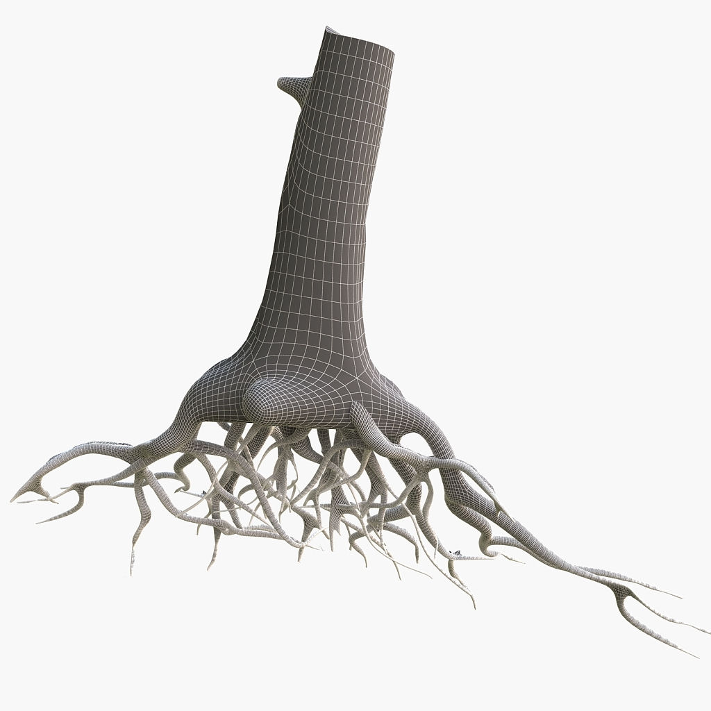 3d roots tree model
