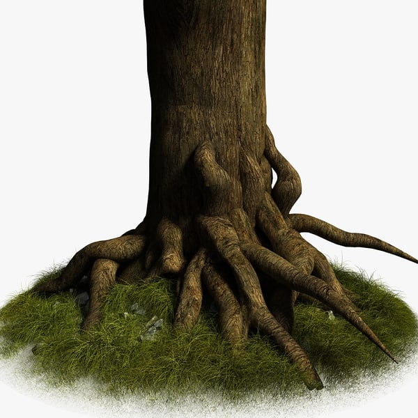 3d roots tree model