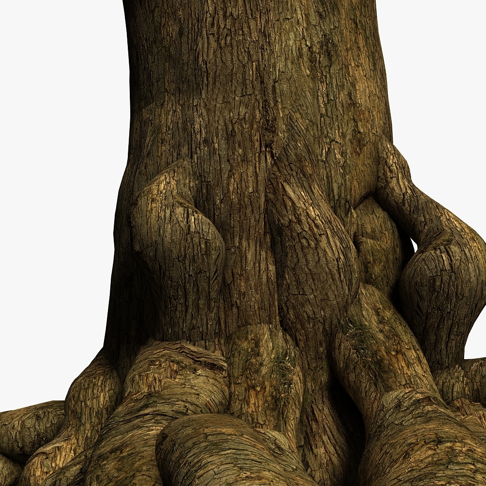 3d roots tree model
