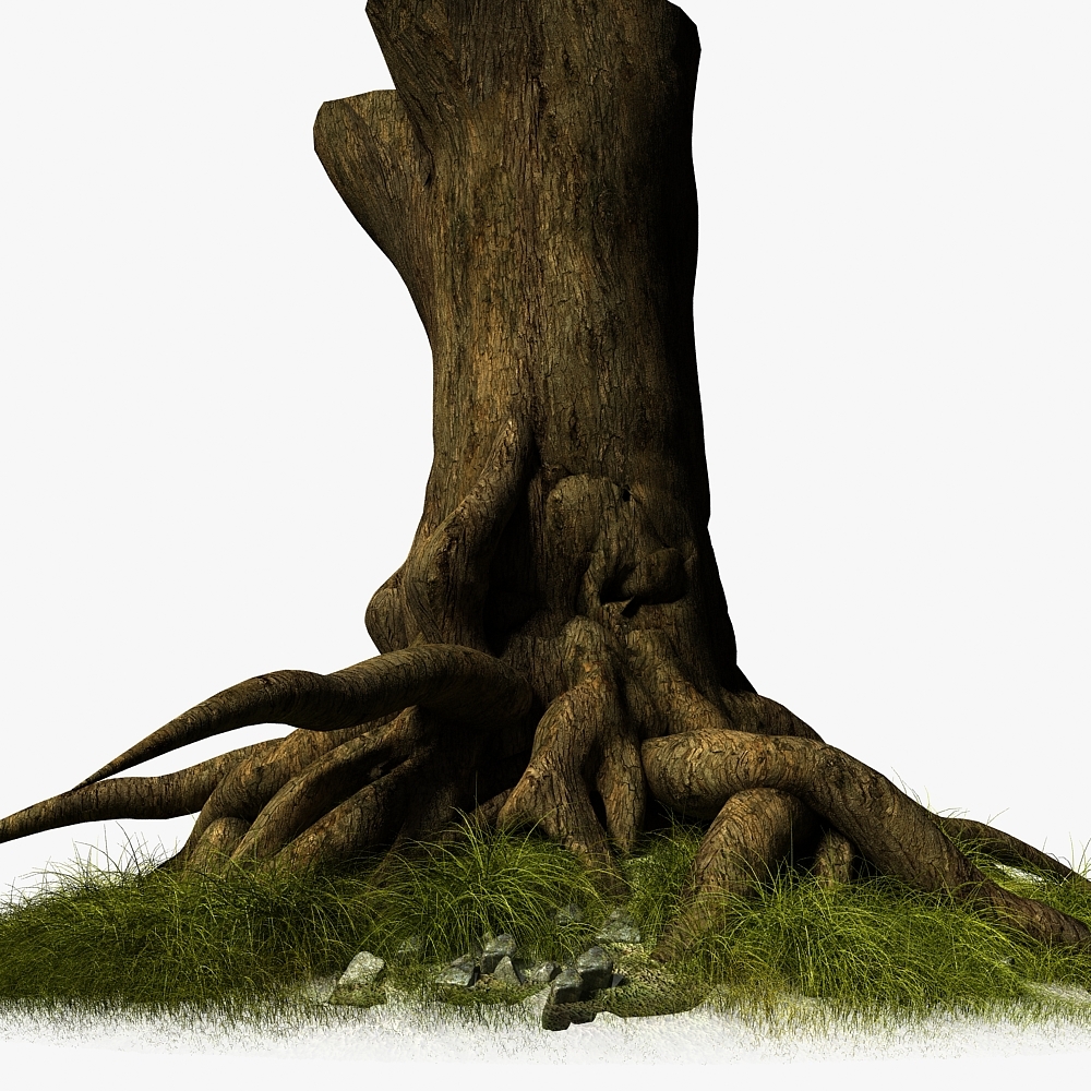 3d roots tree model