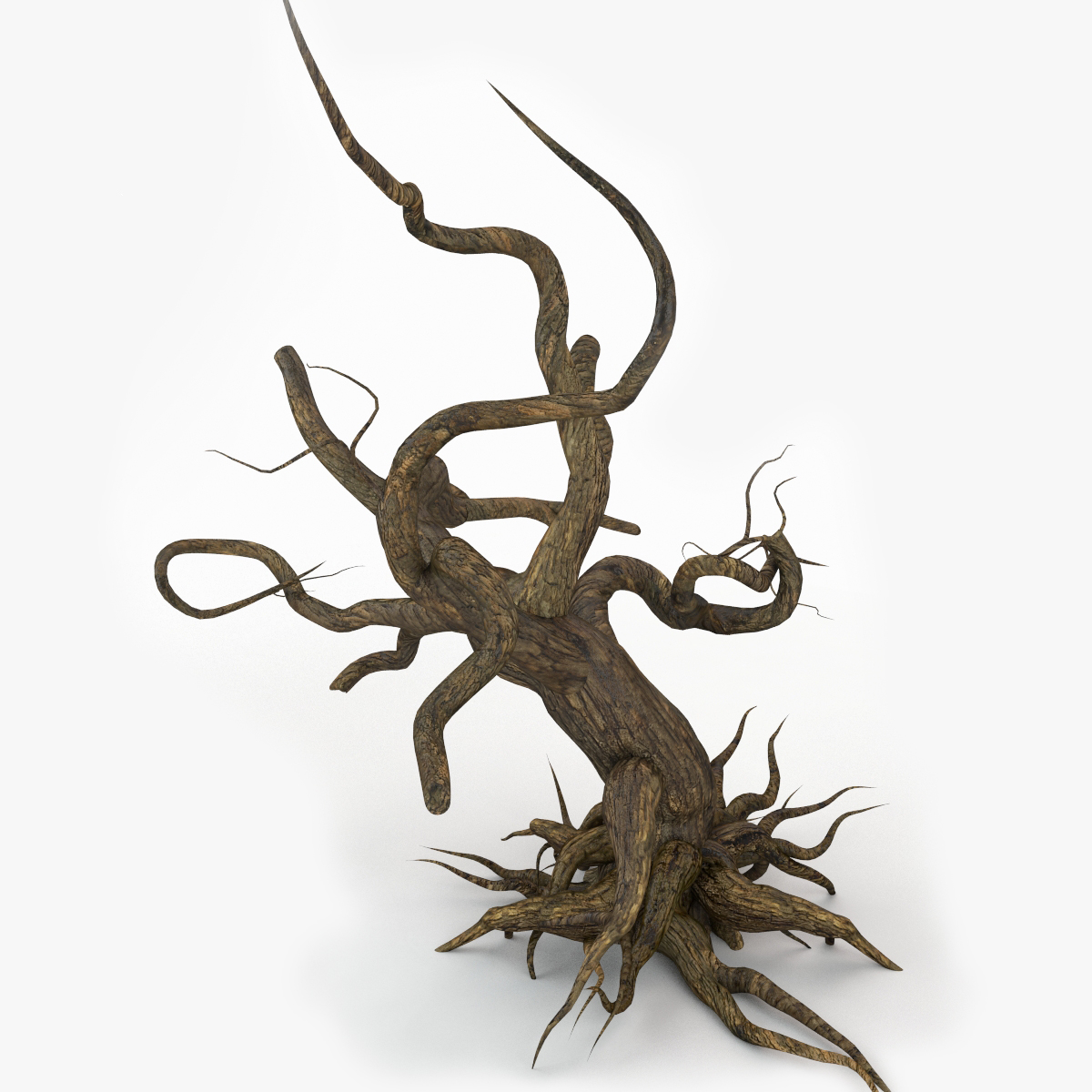 3d roots tree model