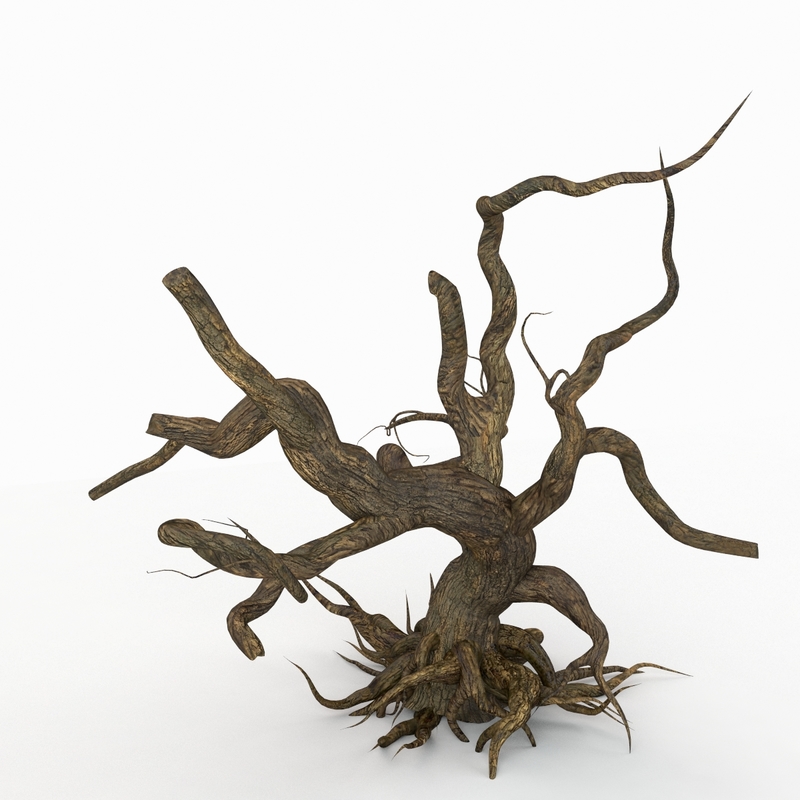 3d roots tree model