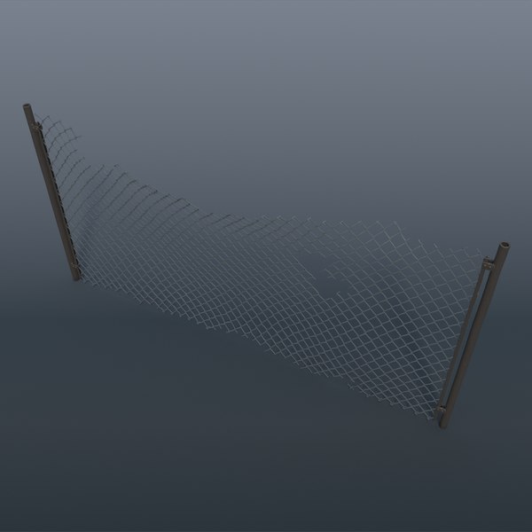 3d model damage netting