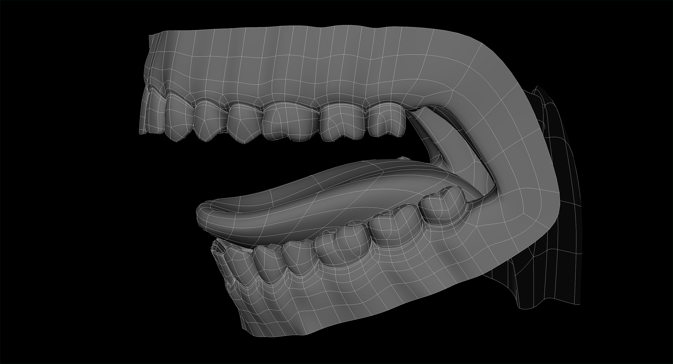3d dental mouth realistic tongue model