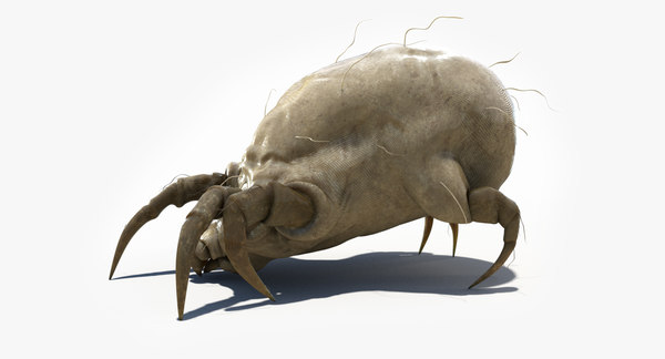 3d model dust mite