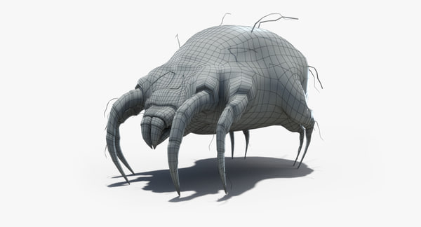 3d model dust mite