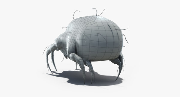 3d model dust mite