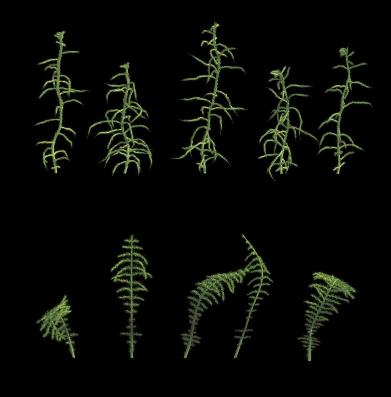 3d model moss normal maps