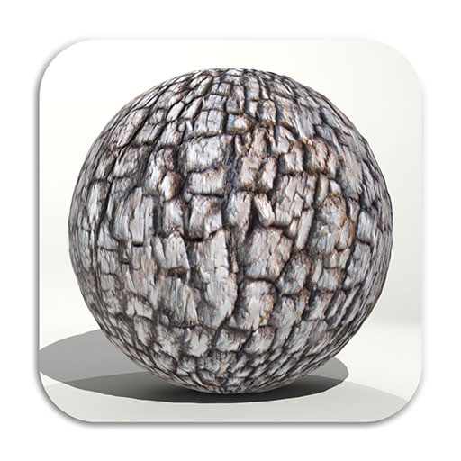 Texture Targa tessellated bark trunk