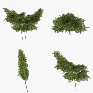 Bush Blender Models for Download | TurboSquid