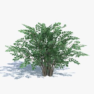 small tree 3d model
