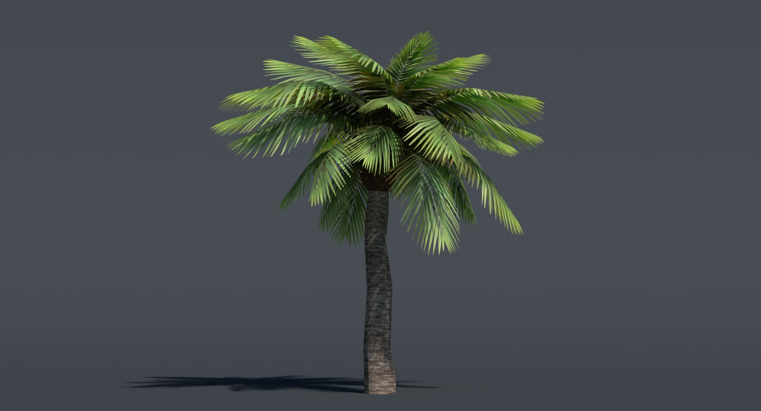 3ds max palm tree