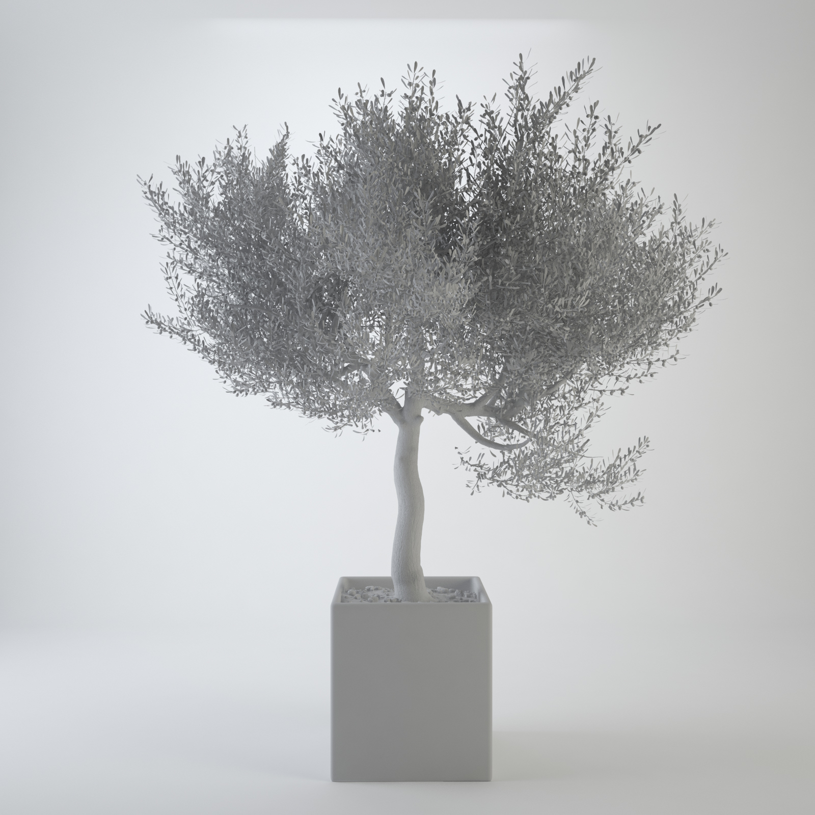 pack olive tree 3d max