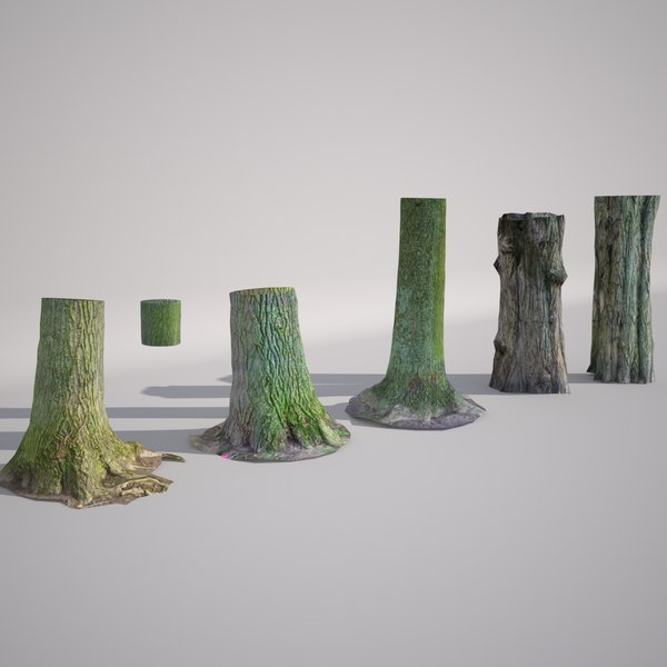 scan tree trunk 3d model