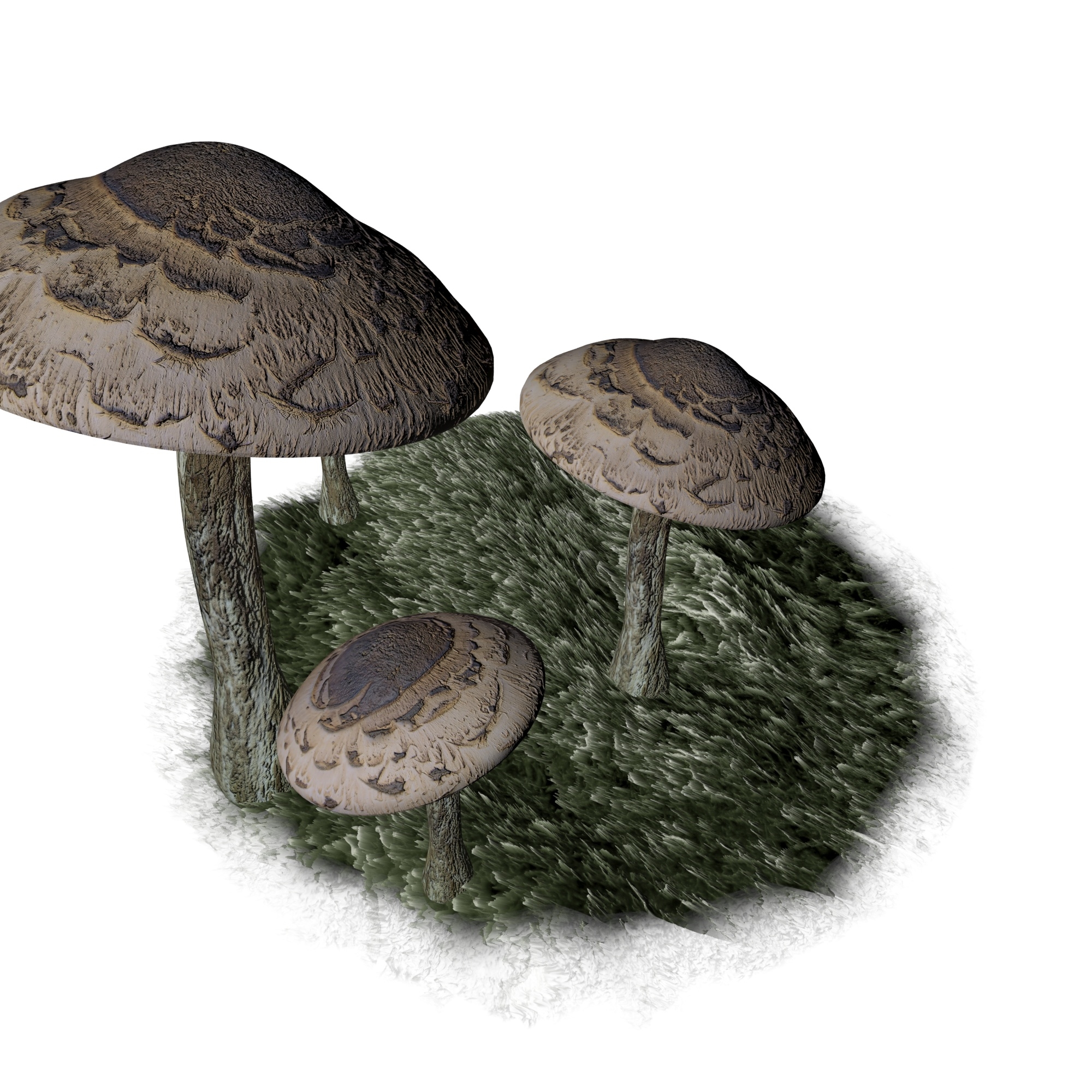 mushroom realistic 3d fbx