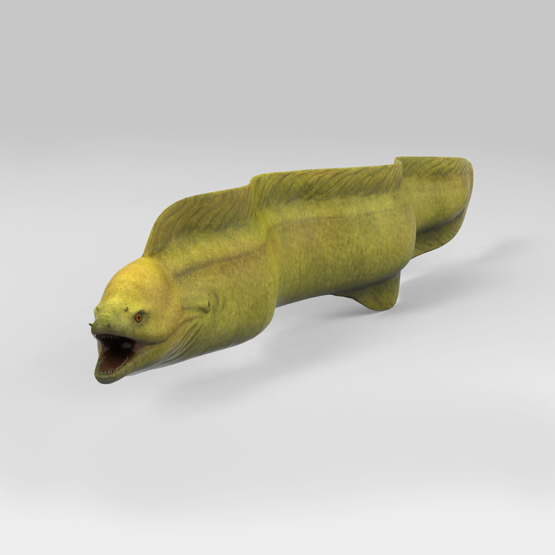 3d eel green model