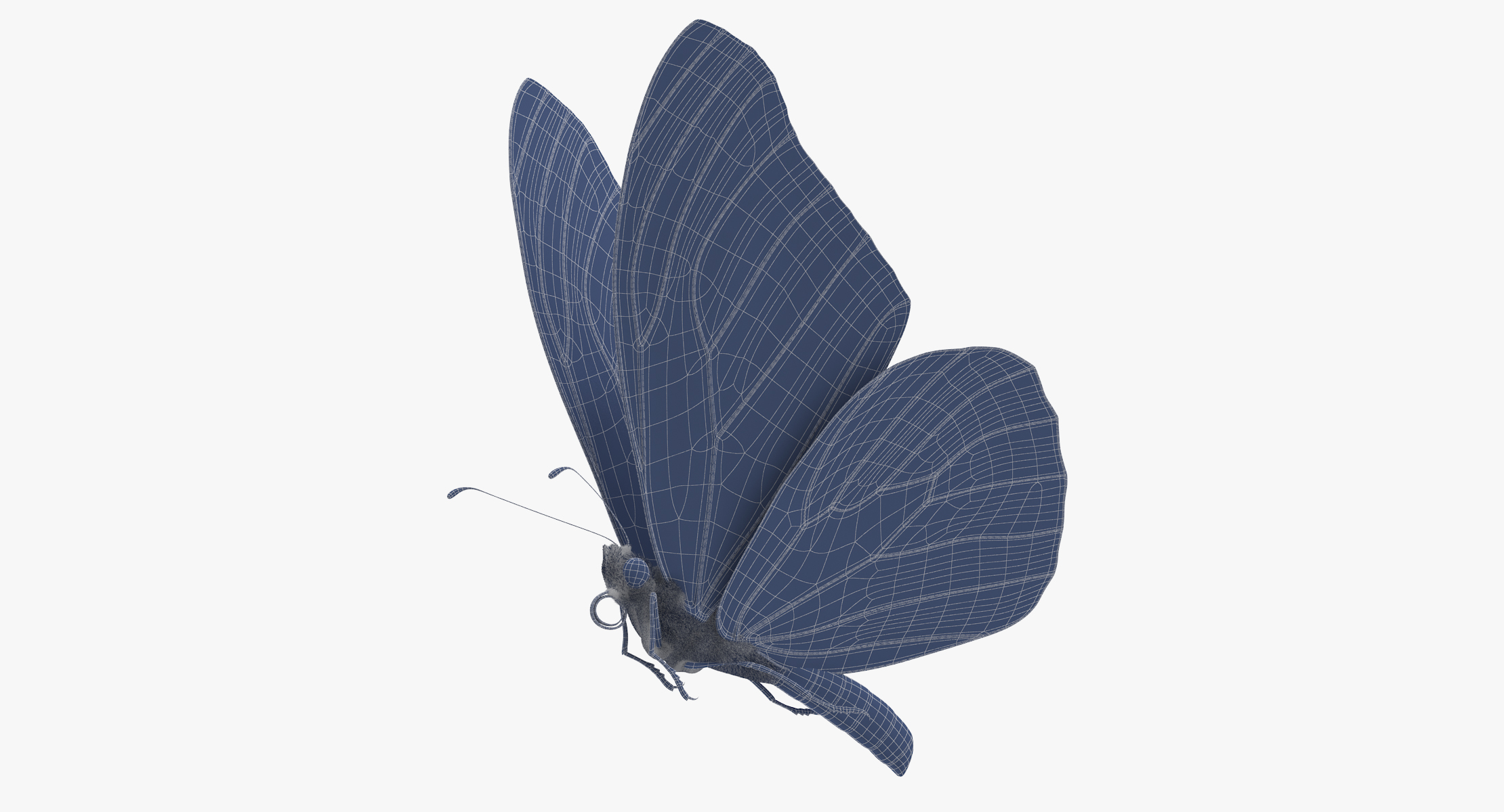 3d monarch butterfly flying