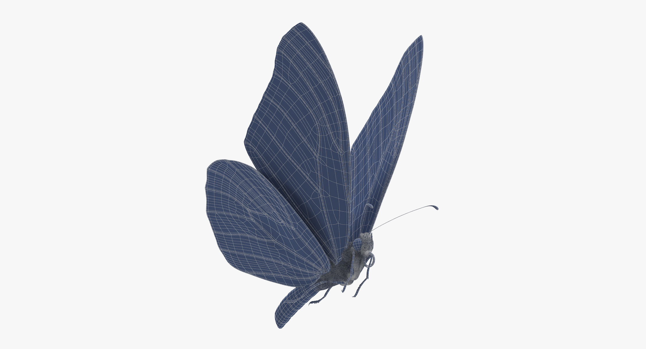 3d monarch butterfly flying