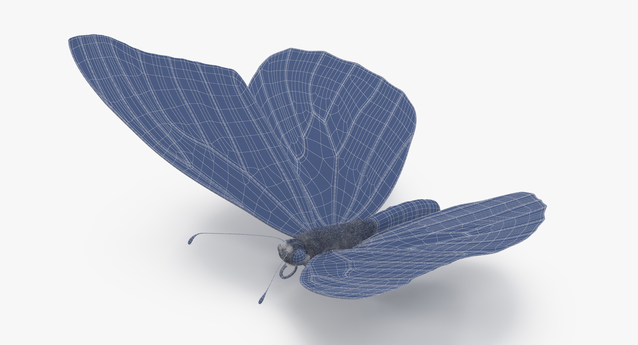 monarch butterfly flying 3d model
