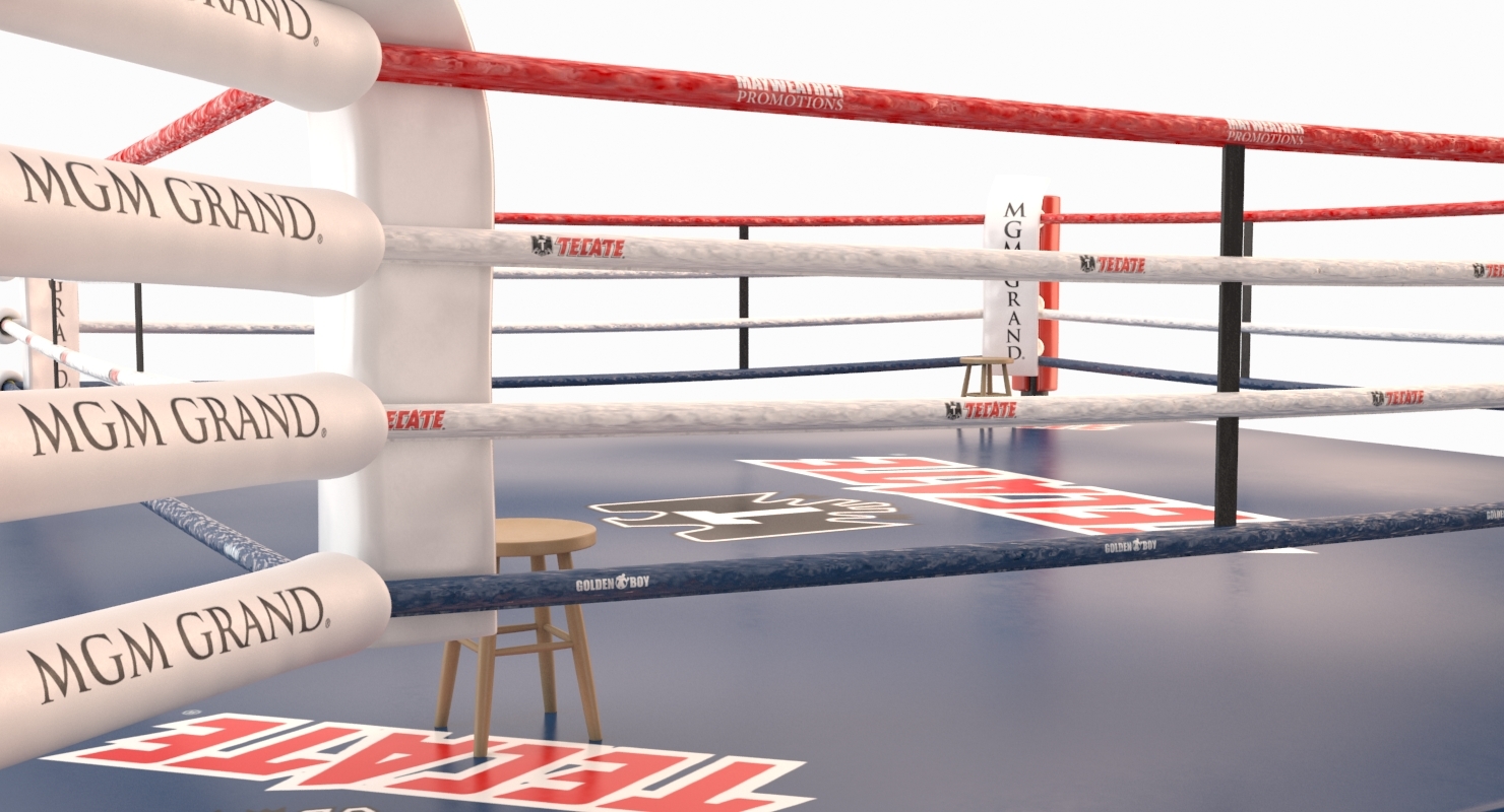 boxing ring max