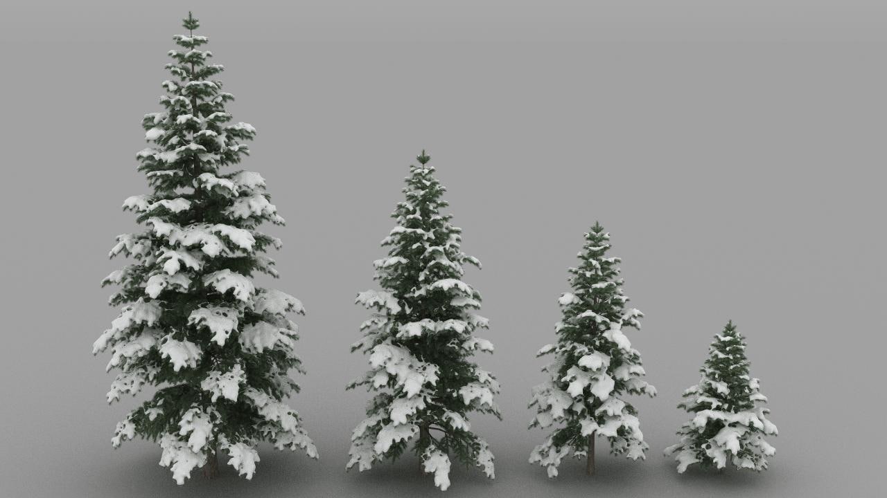 snowy fir trees 3d model