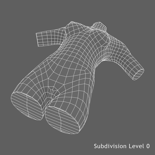 ultimate complete female torso 3d model