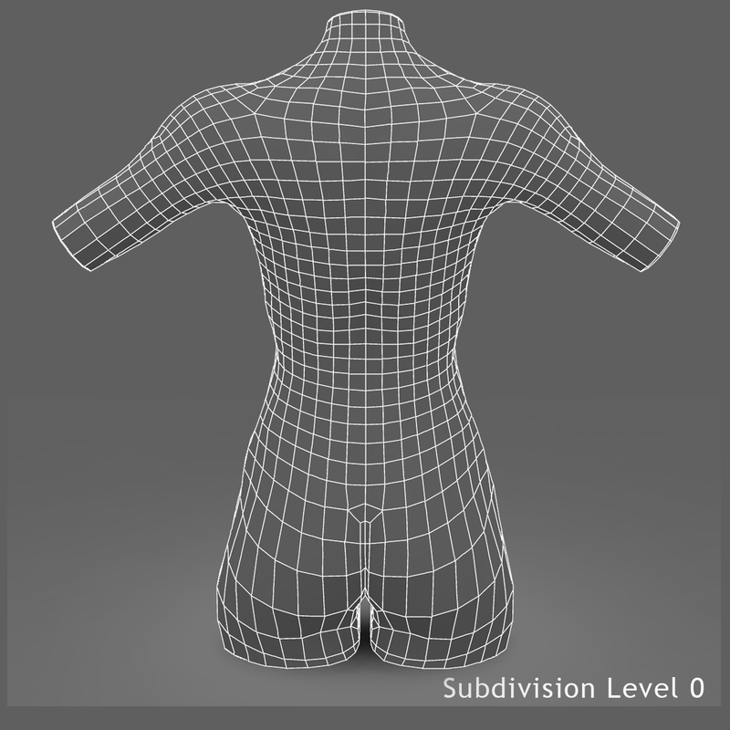 ultimate complete female torso 3d model