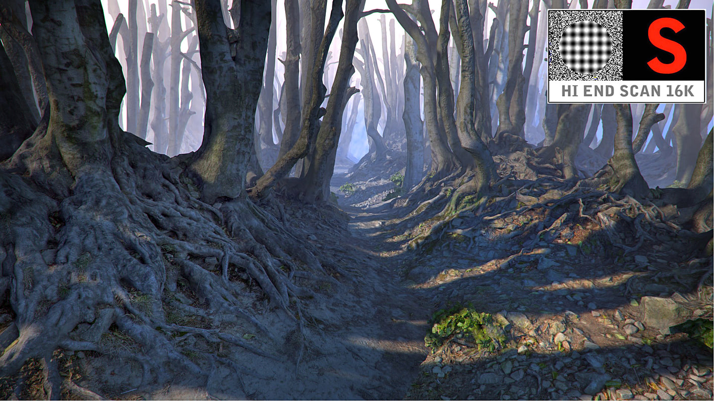3d model real forest ultra hd