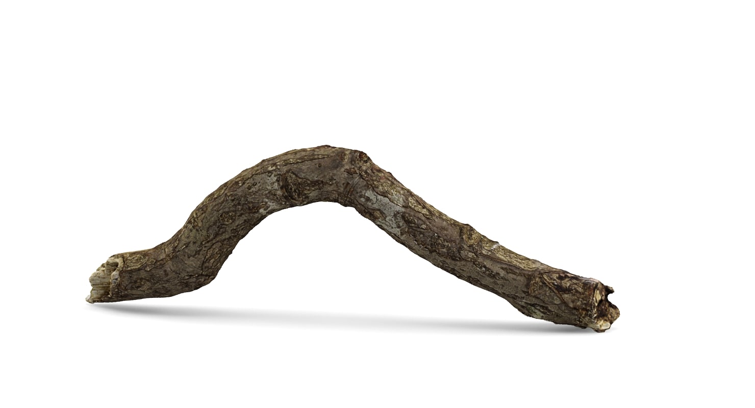 3d model of realistic stick