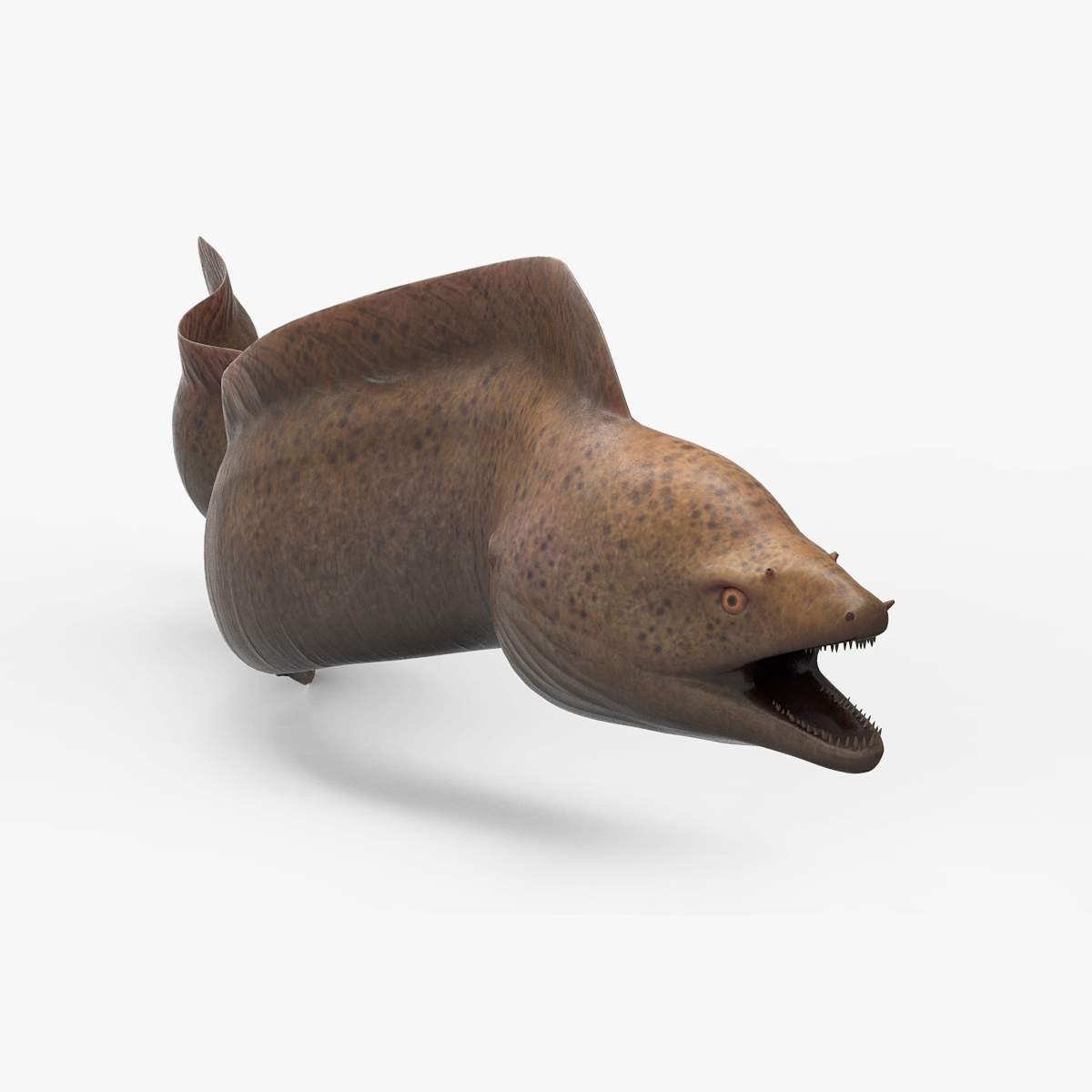 3d eel green