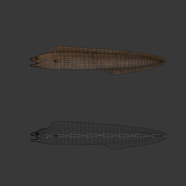 3d eel green