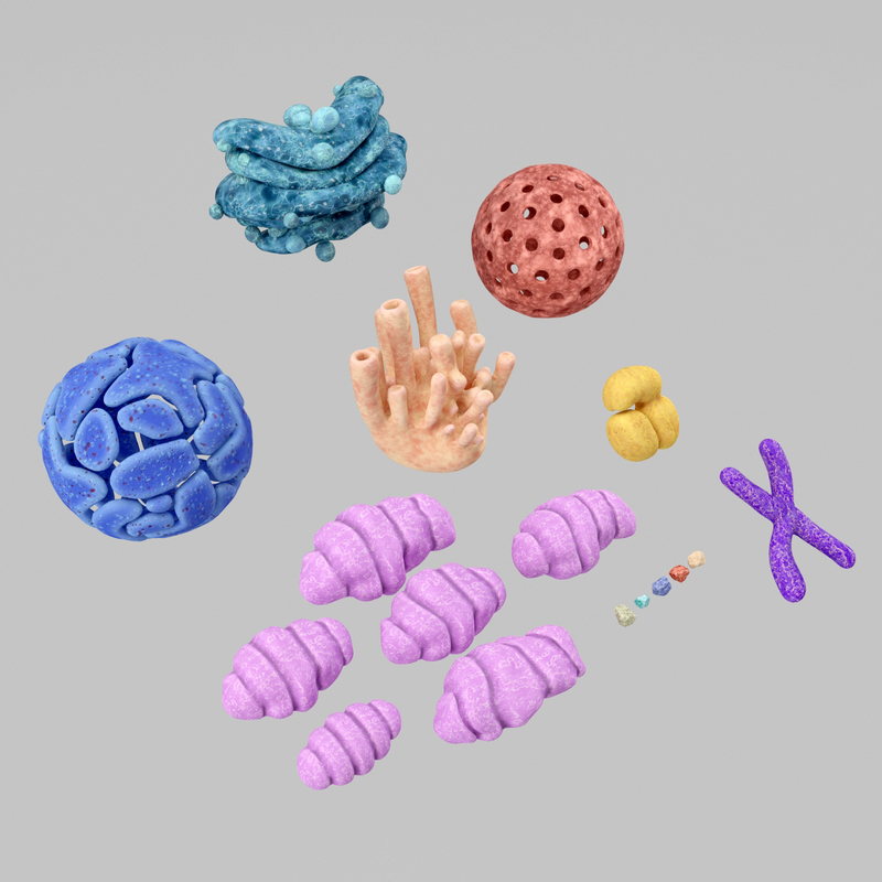 3d model cell