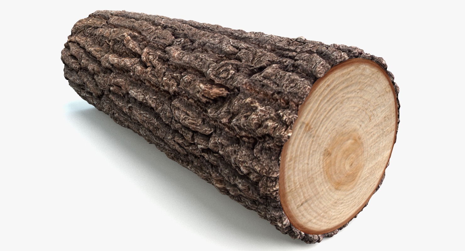 Log Wood Firewood 3d X