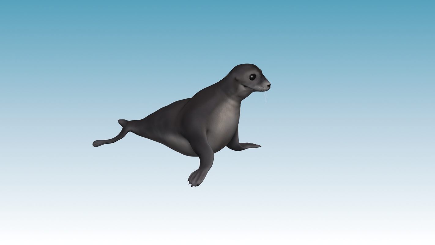 seal animation rigging max