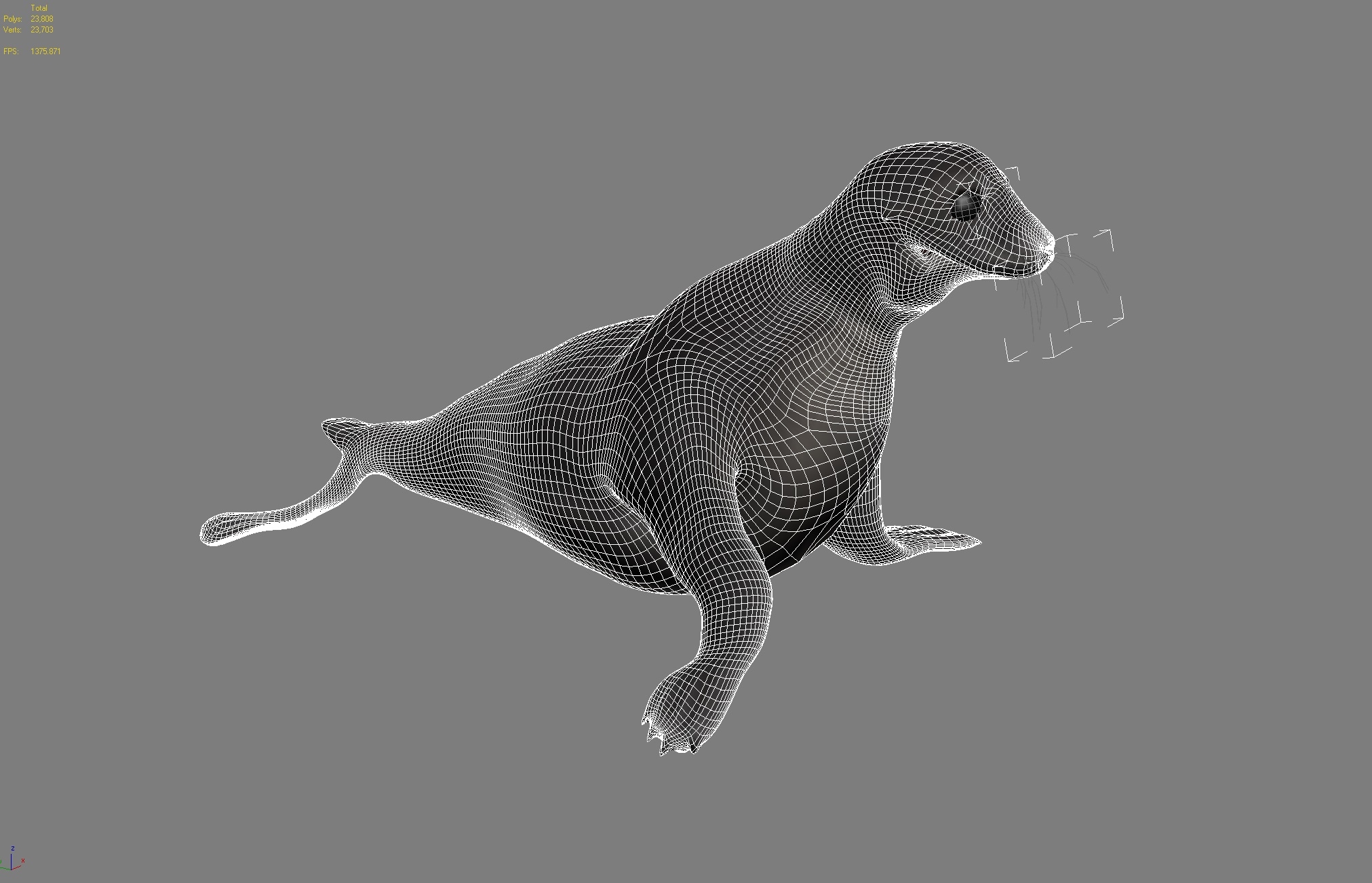 seal animation rigging max