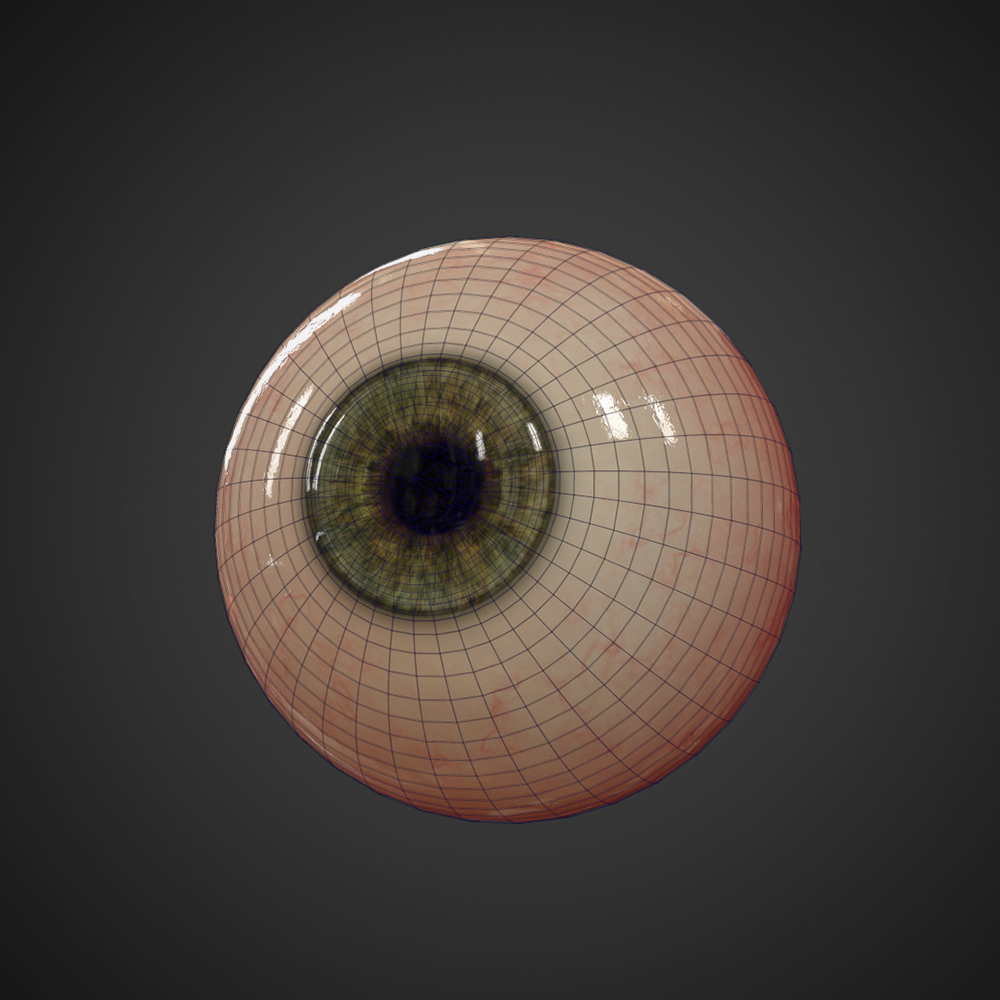 eye eyeball 3d model