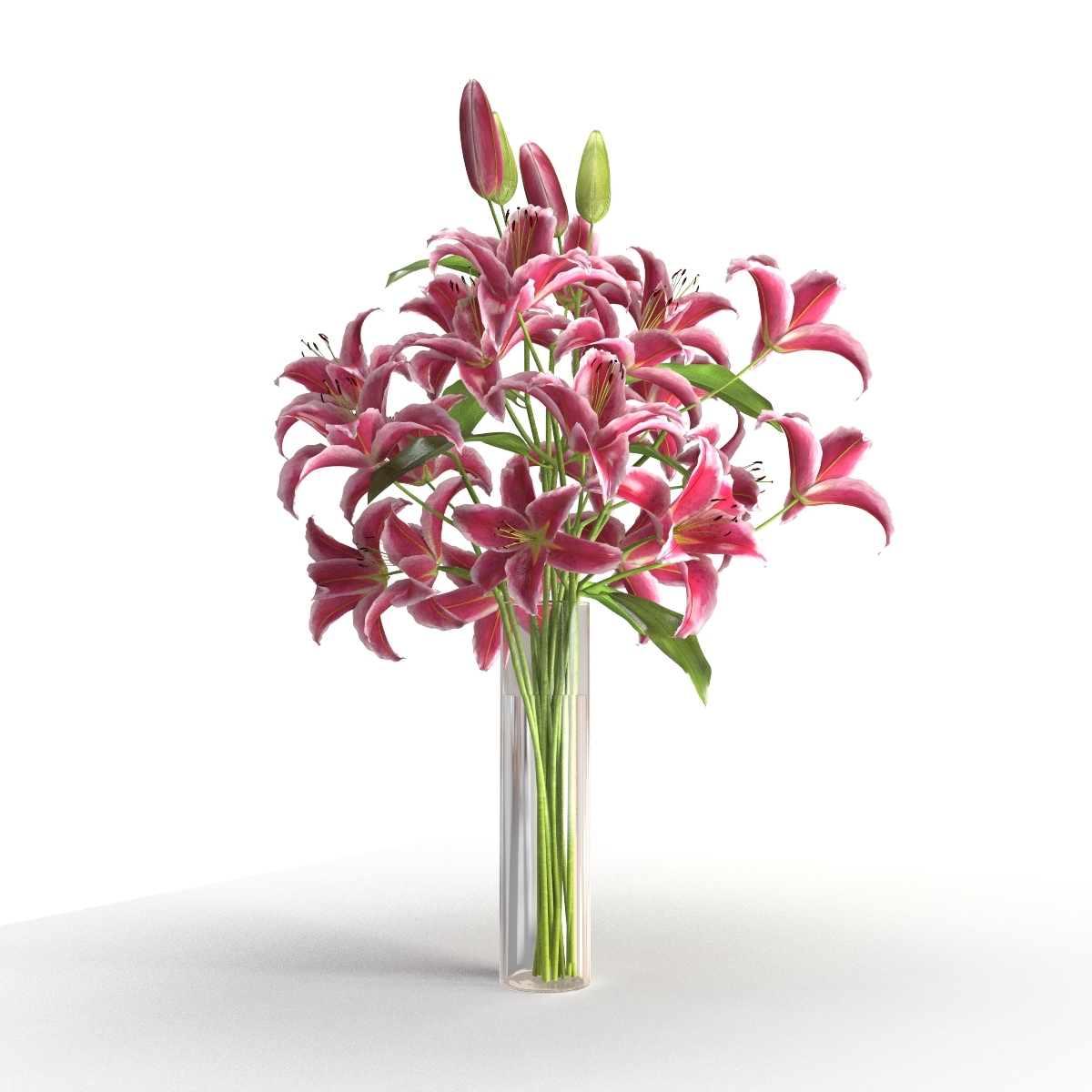 3d model lily flower